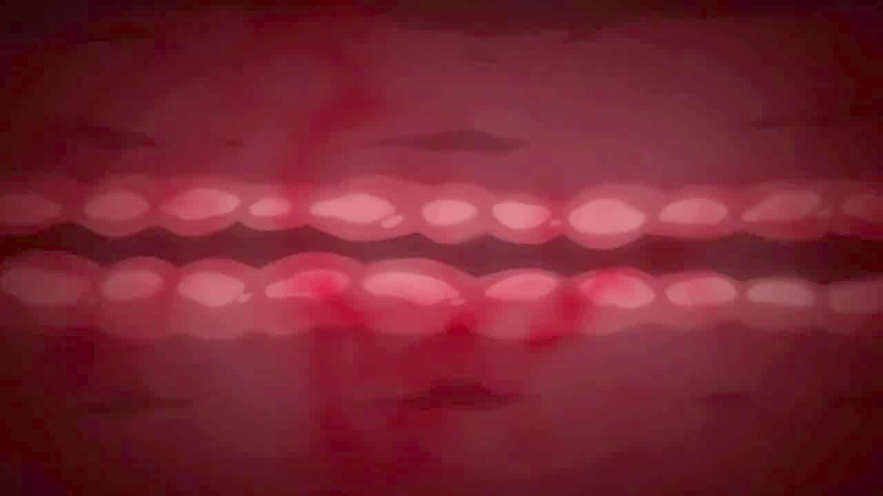 Creampie And Triple Sex