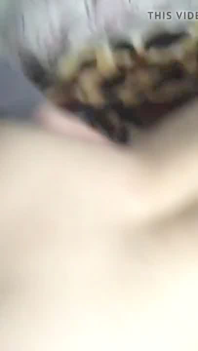 Turk Utter Video Pornography Bd
