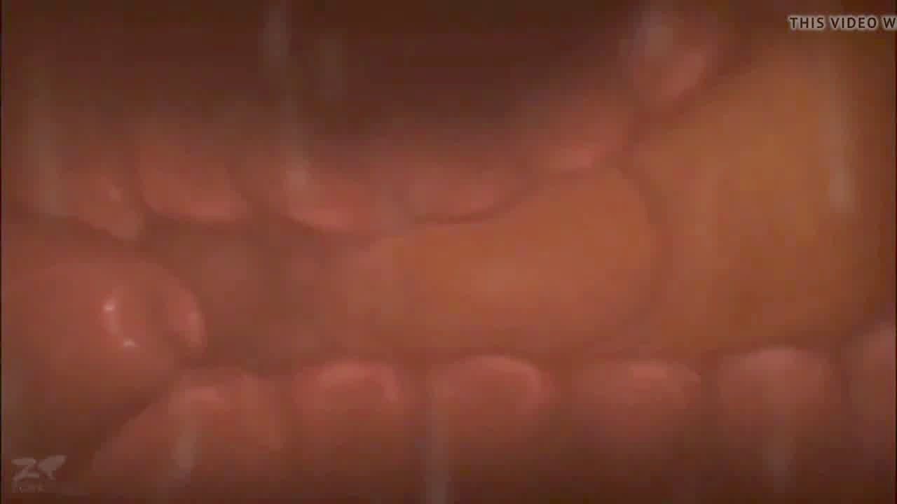 Hookup Knowledge Free Hookup Hd Pornography Video