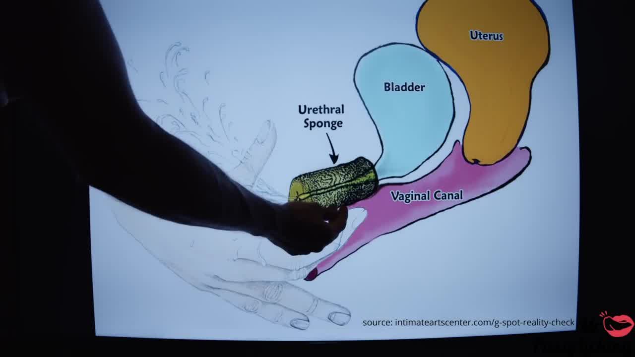 How To Squirting Tutorial Mr Pussylicking