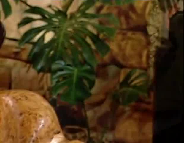 Virginias Story 2000 Full Film Free Porno Ab 4341