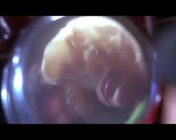 Old School French Pornography Videotape Trailers From Alpha France