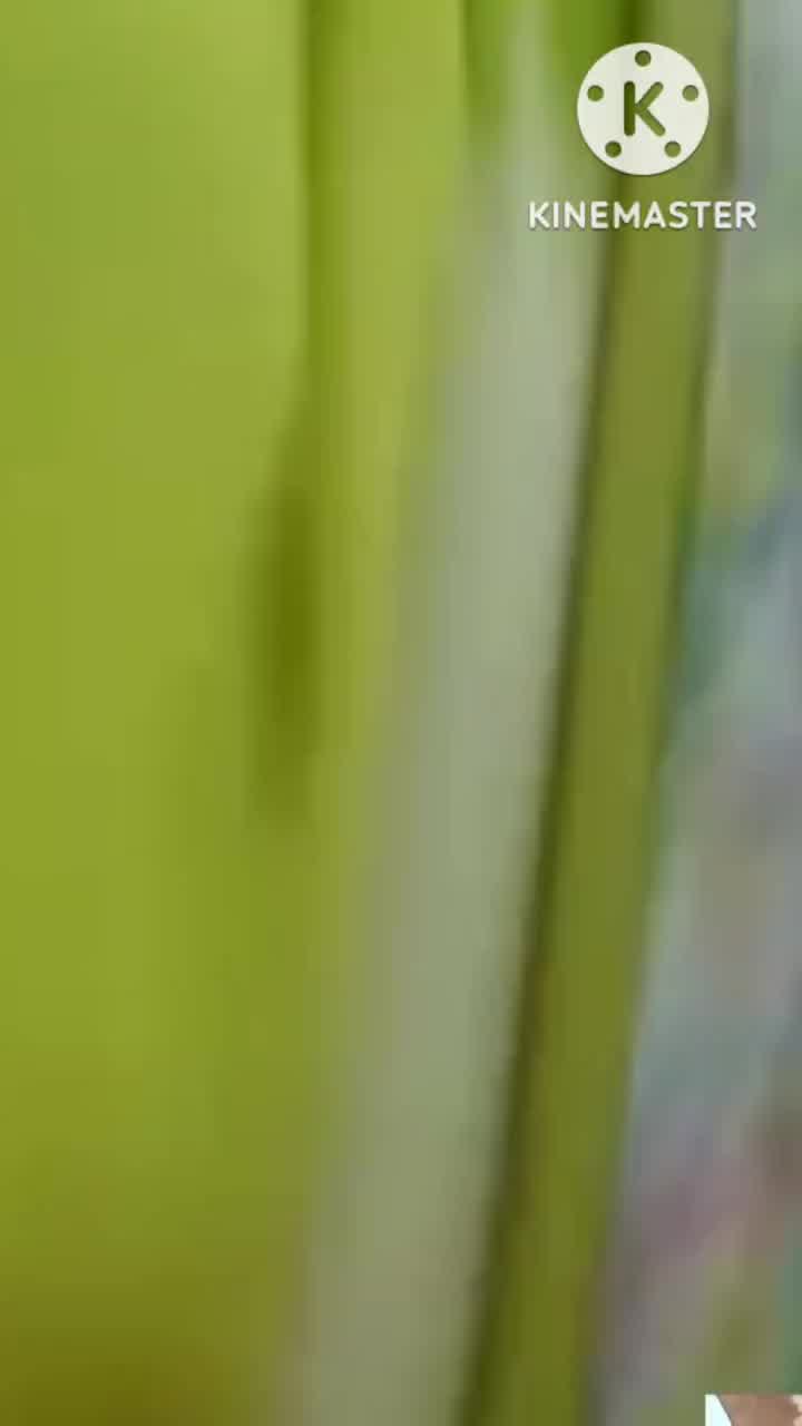My Spectacular Indian Married Aunty Hook Up Talk On Whatsapp Pornography 0b