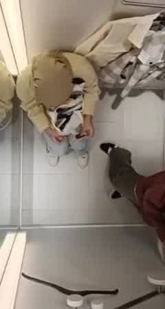 Gadis Jilbab Sange Mesum Diruang Ganti Pornography Hotntubes Com