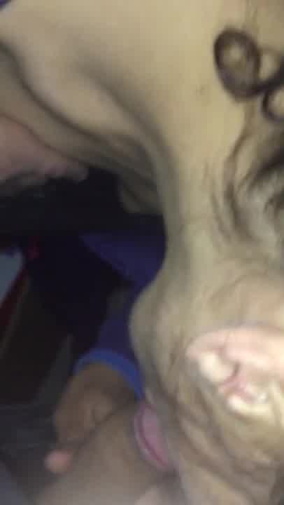 Pute Suceuse De Bites Free Escortalli Hd Pornography 80