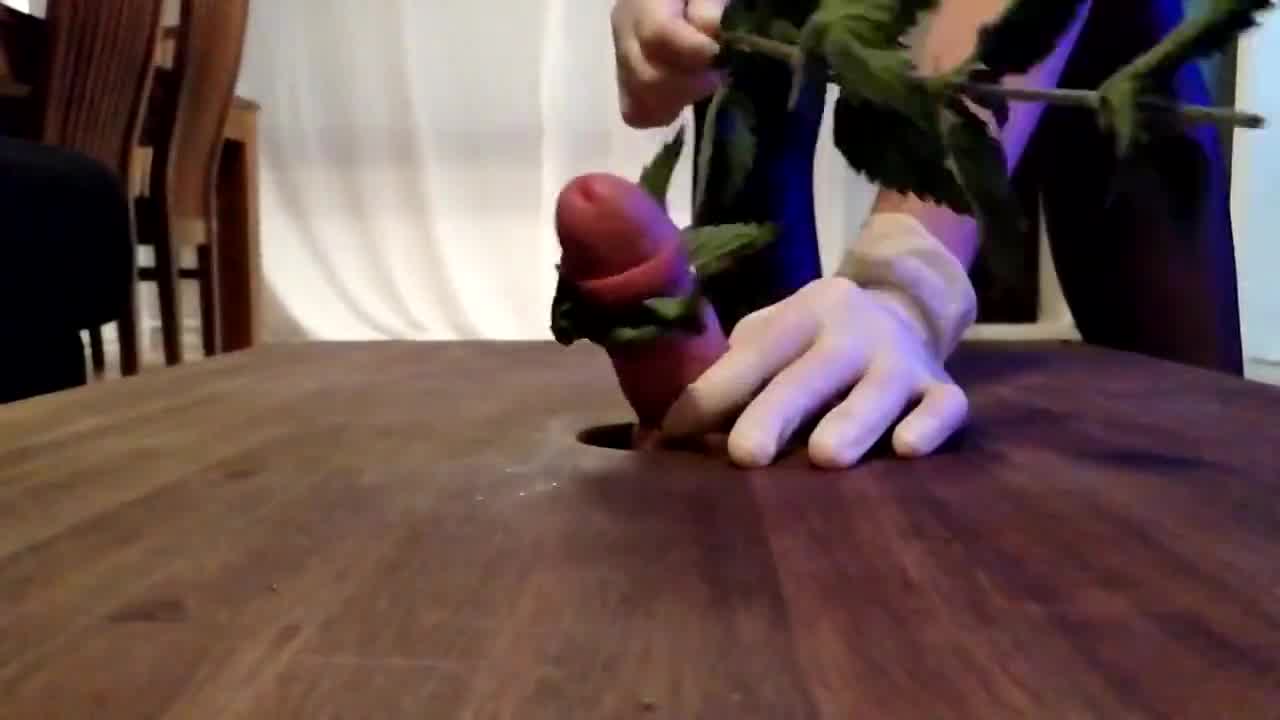 Brutish Cockboard Cbt No Sign Up Hd Porn Vid 85