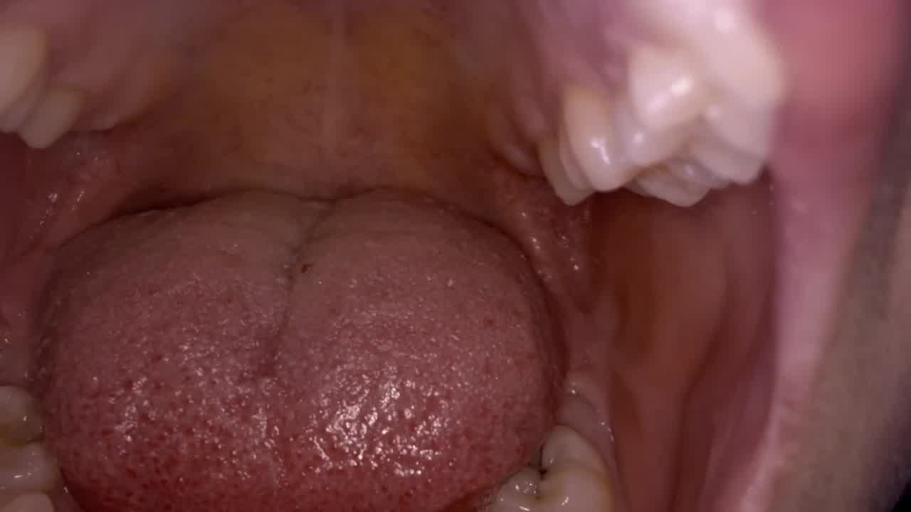 I Fantasize About Swallowing You Vore Story Time Jaws Excursion Hq Asmr Erotic Audio