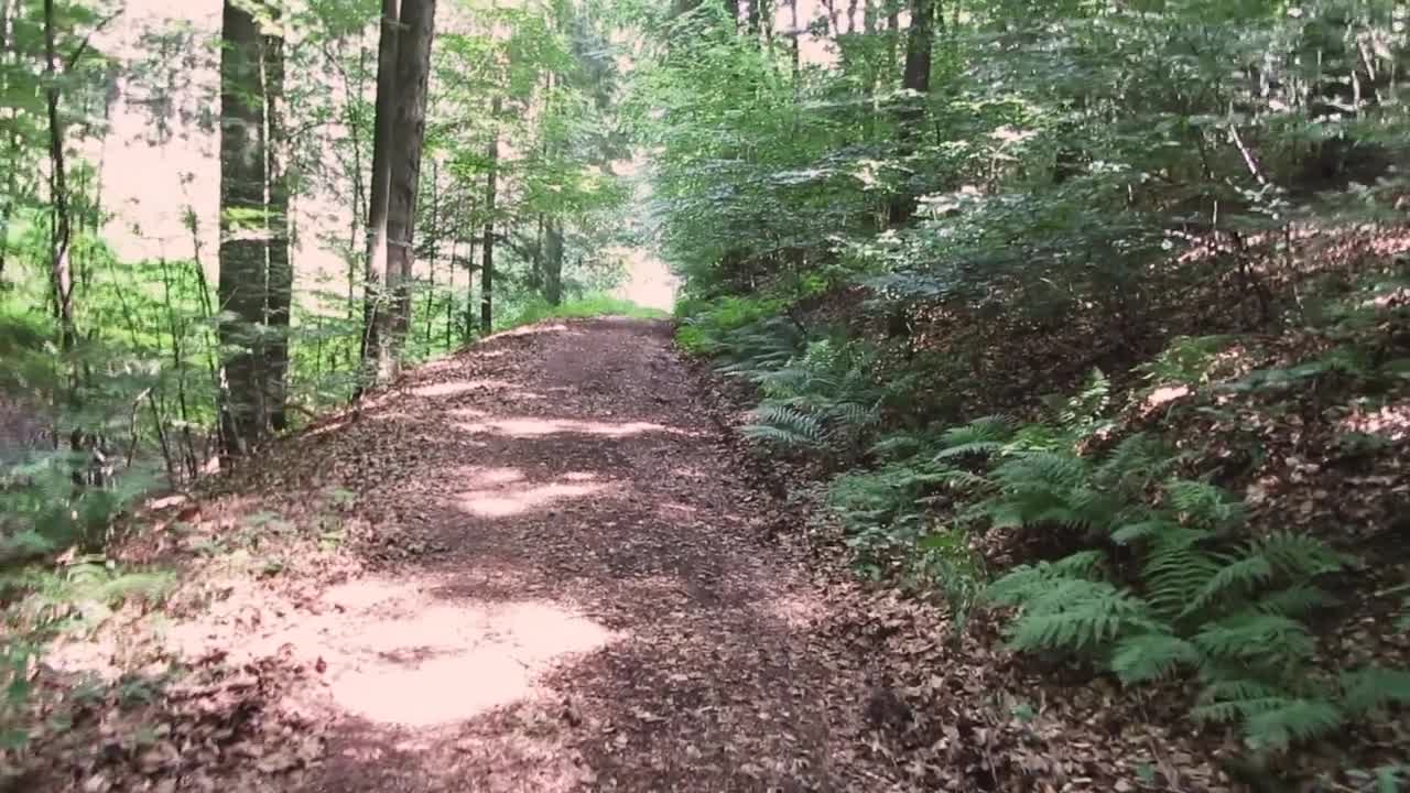Flashing Hooters On Hike And Wanking To Climax On A Ladder In The Forest