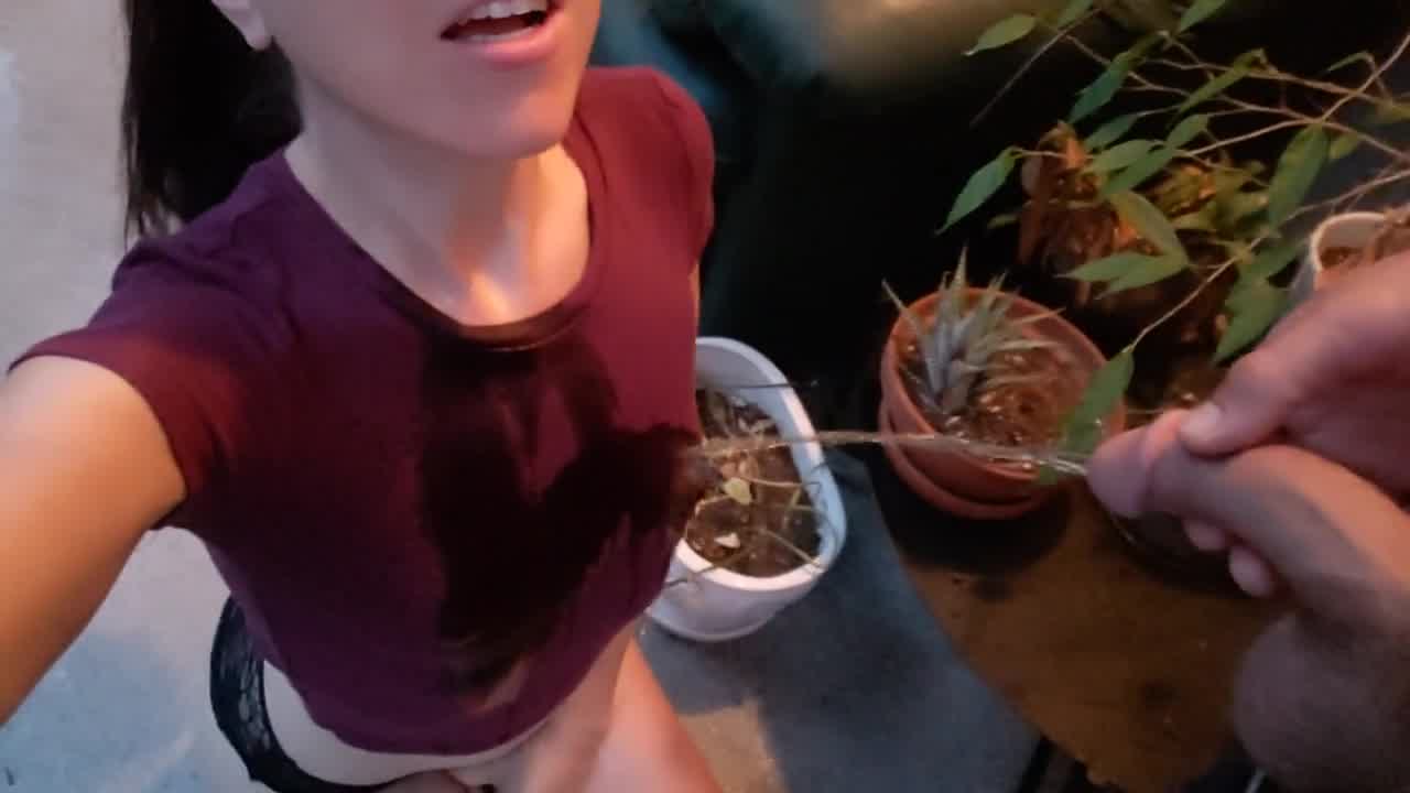 daddy's little pisswhore . golden showers in the early rainy morning - hotntubes.com