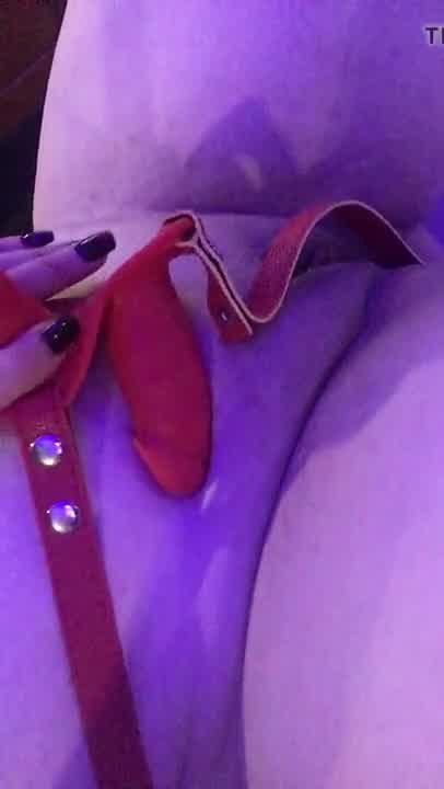 Belt Cock Ready
