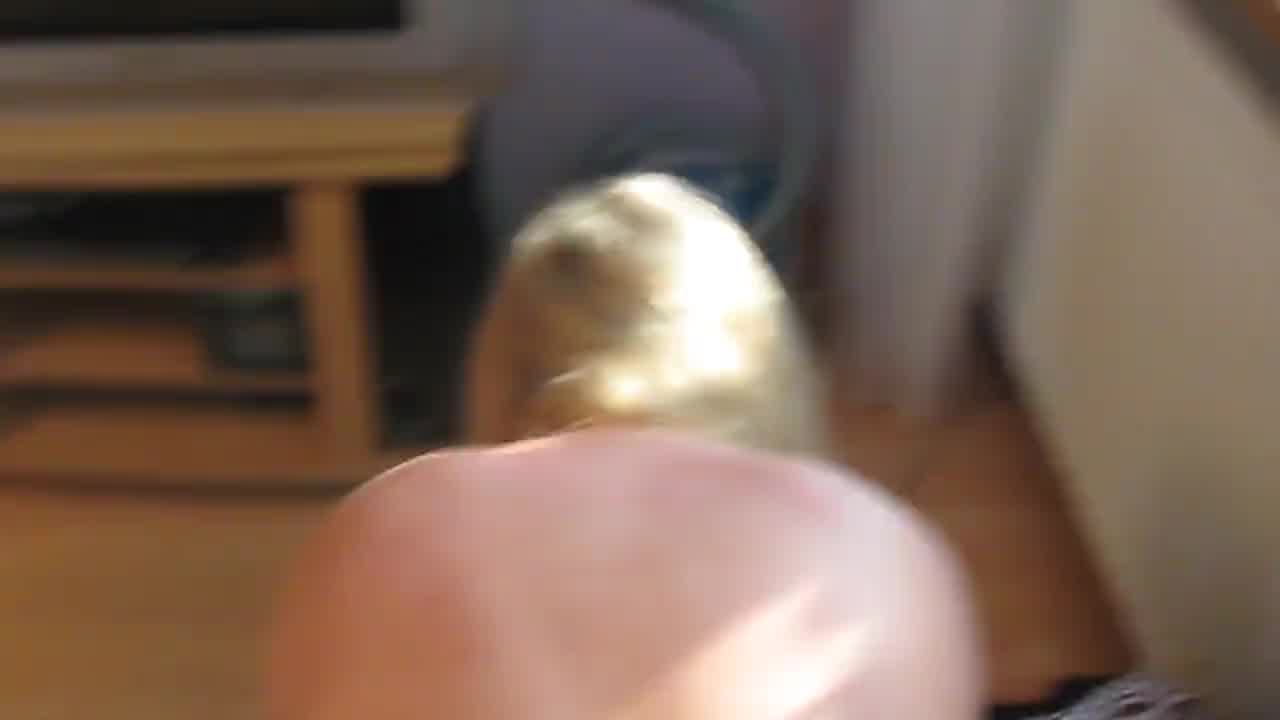 Just A Quickie 1034