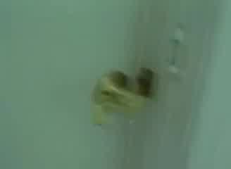 vanilla 582 - hotntubes.com