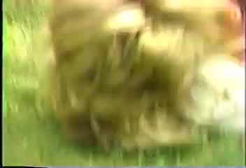 opponents in enjoy catfight - hotntubes.com